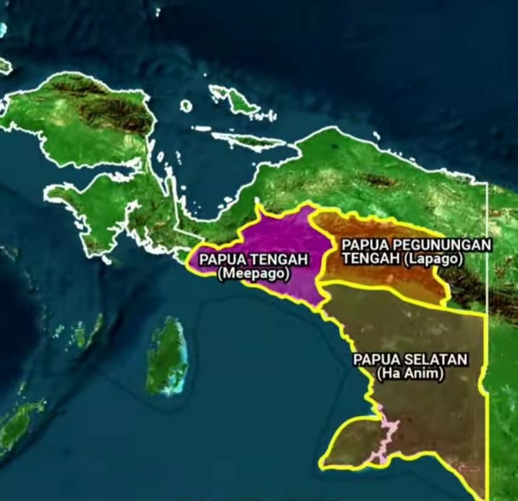 Catat, Ini Profil 3 Provinsi Baru: Papua Selatan, Papua Tengah, Papua ...